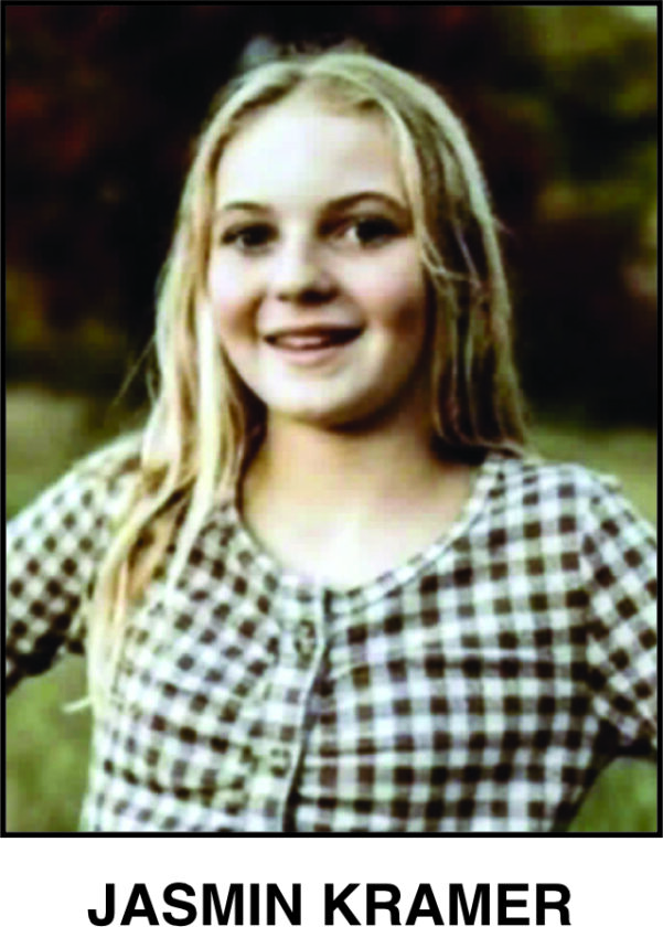 Record number of participants to take part in Clinton County Fair ...